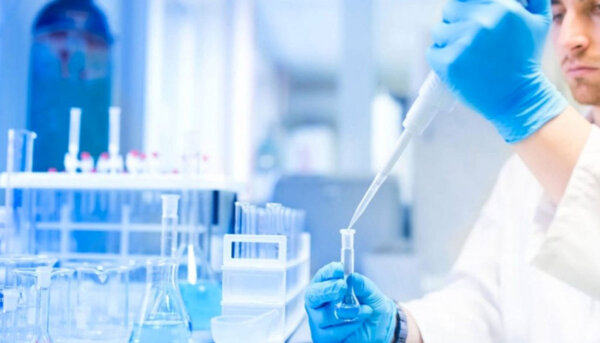 Contact - The Biosphere